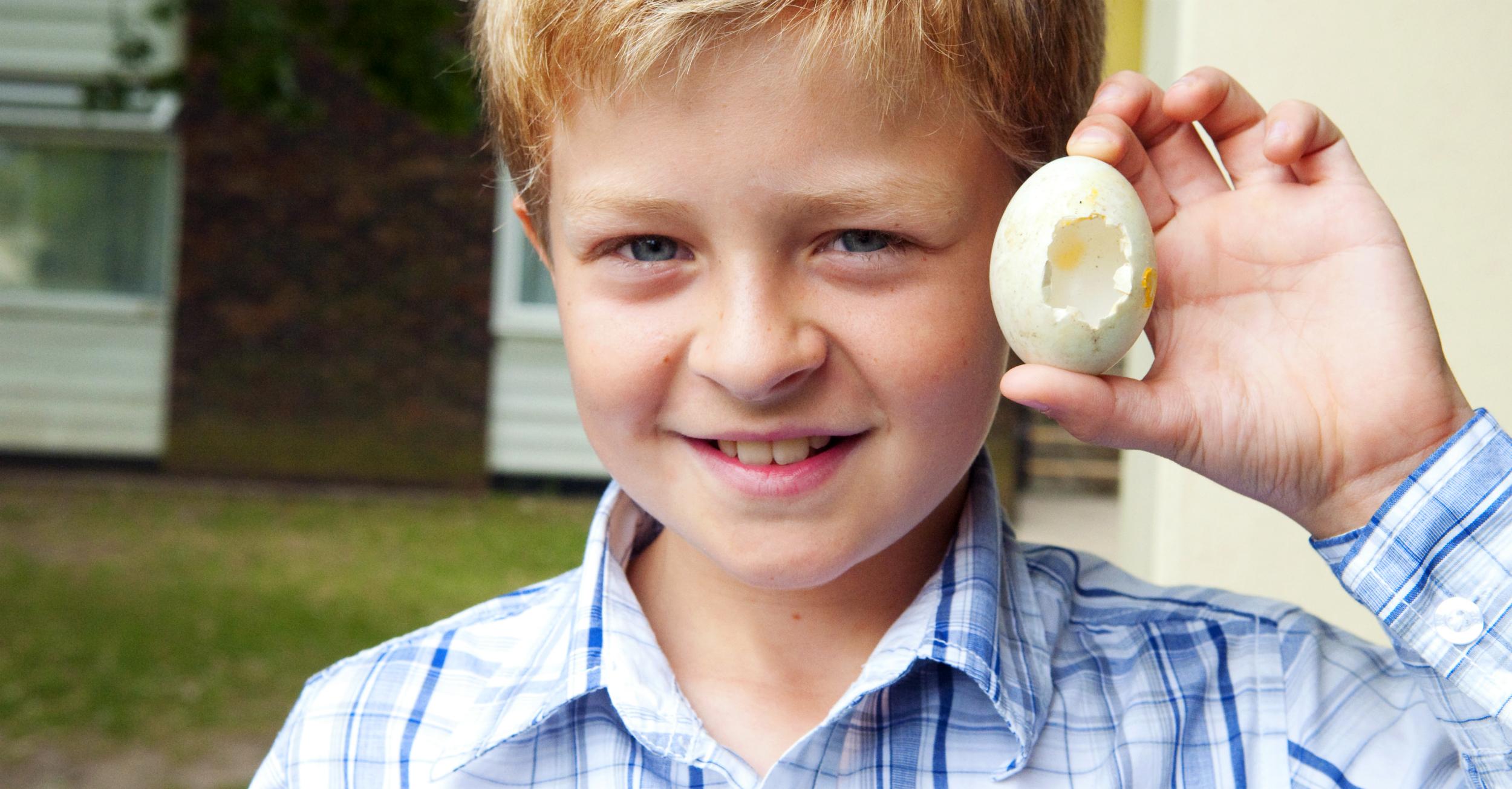 Egg Protector | Activities | JCA Adventure